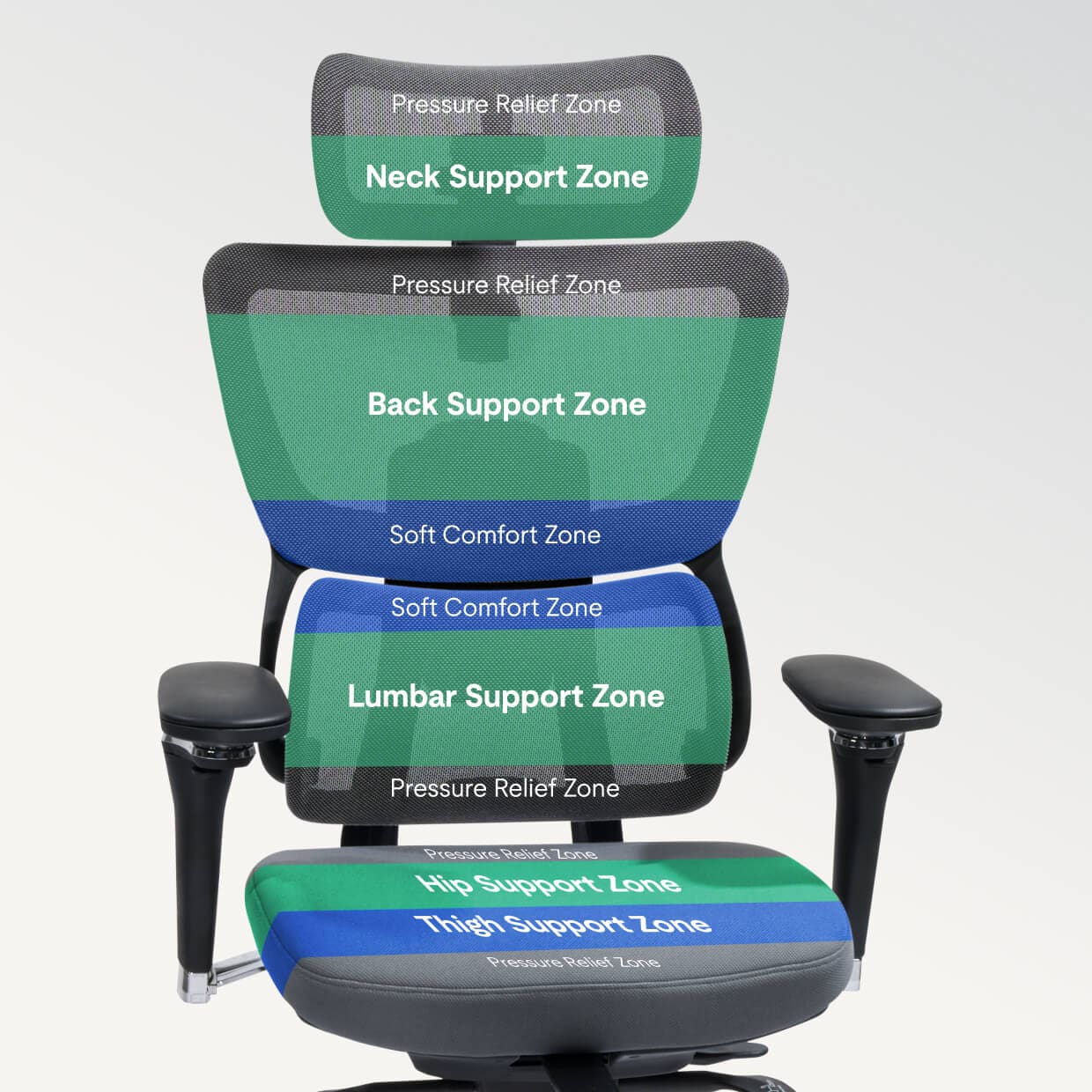 Professional Ergonomic Office Chair | Comfortable Chair C7M | Flexispot