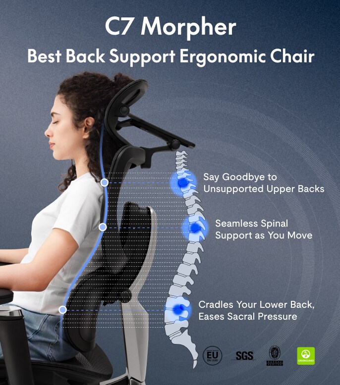 Professional Ergonomic Office Chair | Comfortable Chair C7M | Flexispot