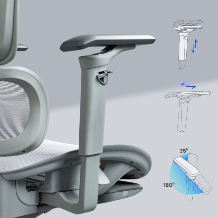 Professional Ergonomic Office Chair | Comfortable Chair C7M | Flexispot