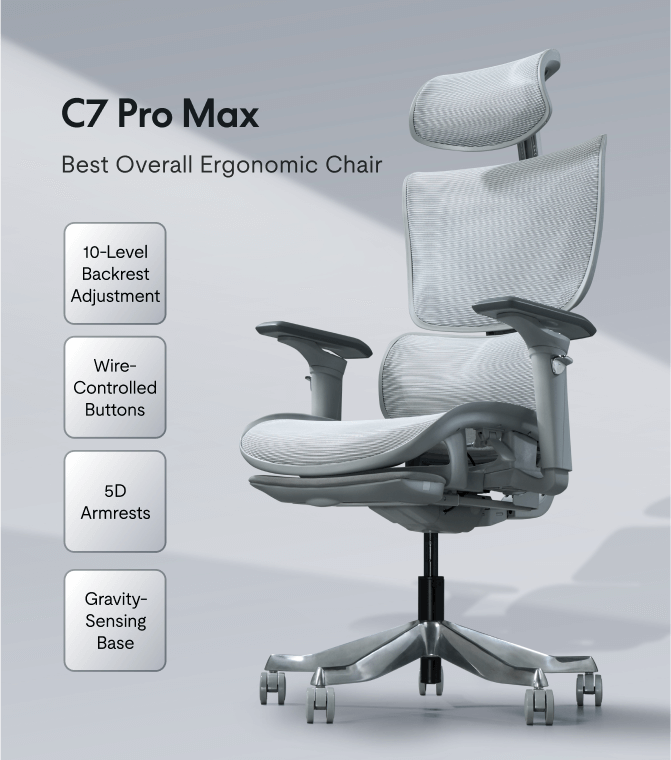 Professional Ergonomic Office Chair | Comfortable Chair C7M | Flexispot