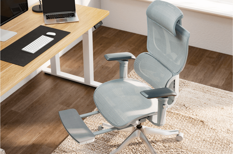 Professional Ergonomic Office Chair | Comfortable Chair C7M | Flexispot