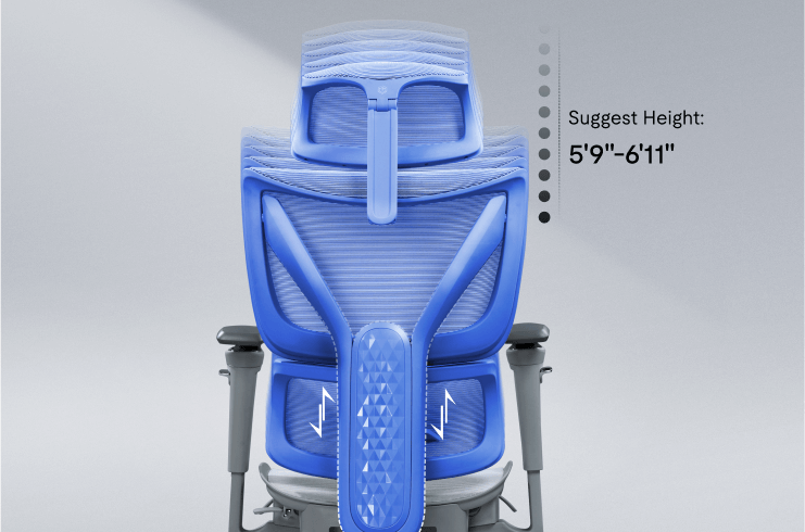 Professional Ergonomic Office Chair | Comfortable Chair C7M | Flexispot