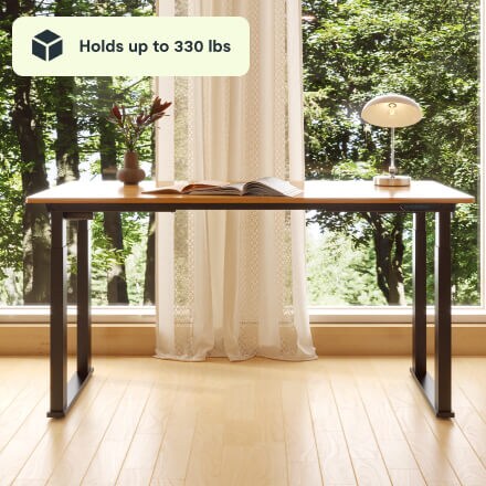 Standard 4-leg standing desk E2Q - FlexiSpot US