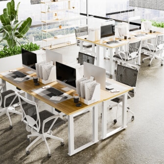 Standard 4-leg standing desk E2Q - FlexiSpot US