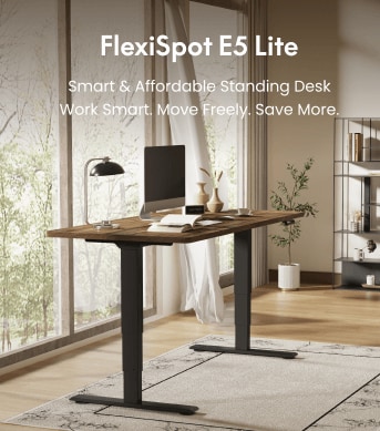E5 Lite Electric Height Adjustable Standing Desk | FlexiSpot US
