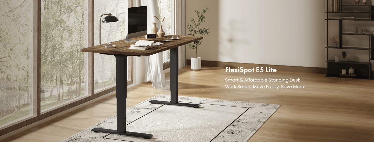 E5 Lite Electric Height Adjustable Standing Desk | FlexiSpot US