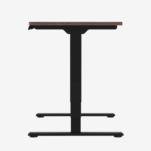 E5 Lite Electric Height Adjustable Standing Desk | FlexiSpot US