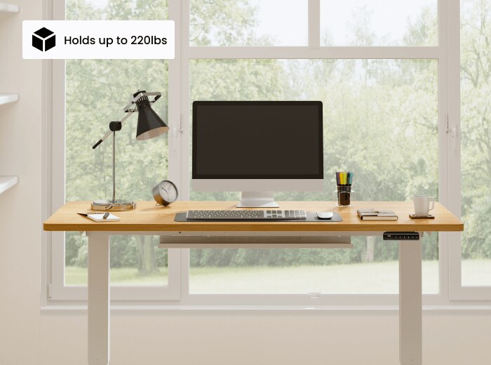 E5 Lite Electric Height Adjustable Standing Desk | FlexiSpot US