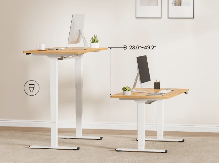 E5 Lite Electric Height Adjustable Standing Desk | FlexiSpot US