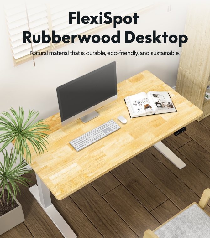 Flexispot desktop only store