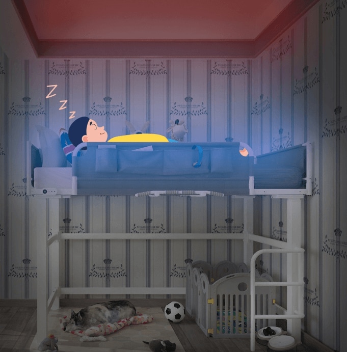 Loft Bed | FlexiSpot